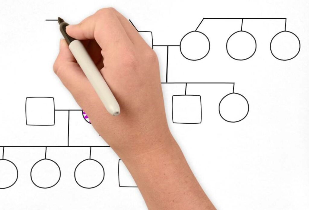 Jak sestavit rodokmen? – Panidomu.cz